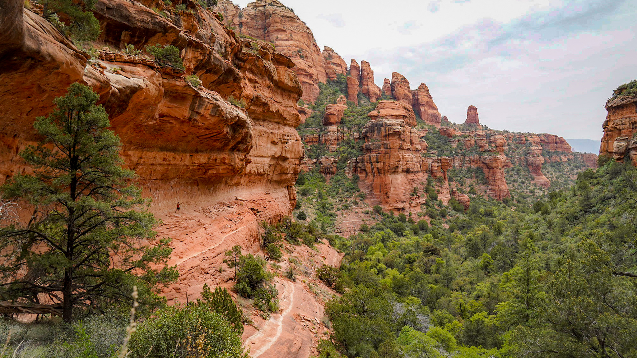 Fay Canyon Sedona: Hidden Canyon & Natural Bridge Hike Guide